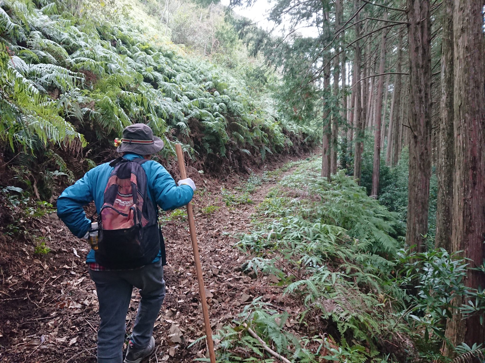 Ohechi Kii-Uragami station to Fudarakusanji Temple (Nachi station ...